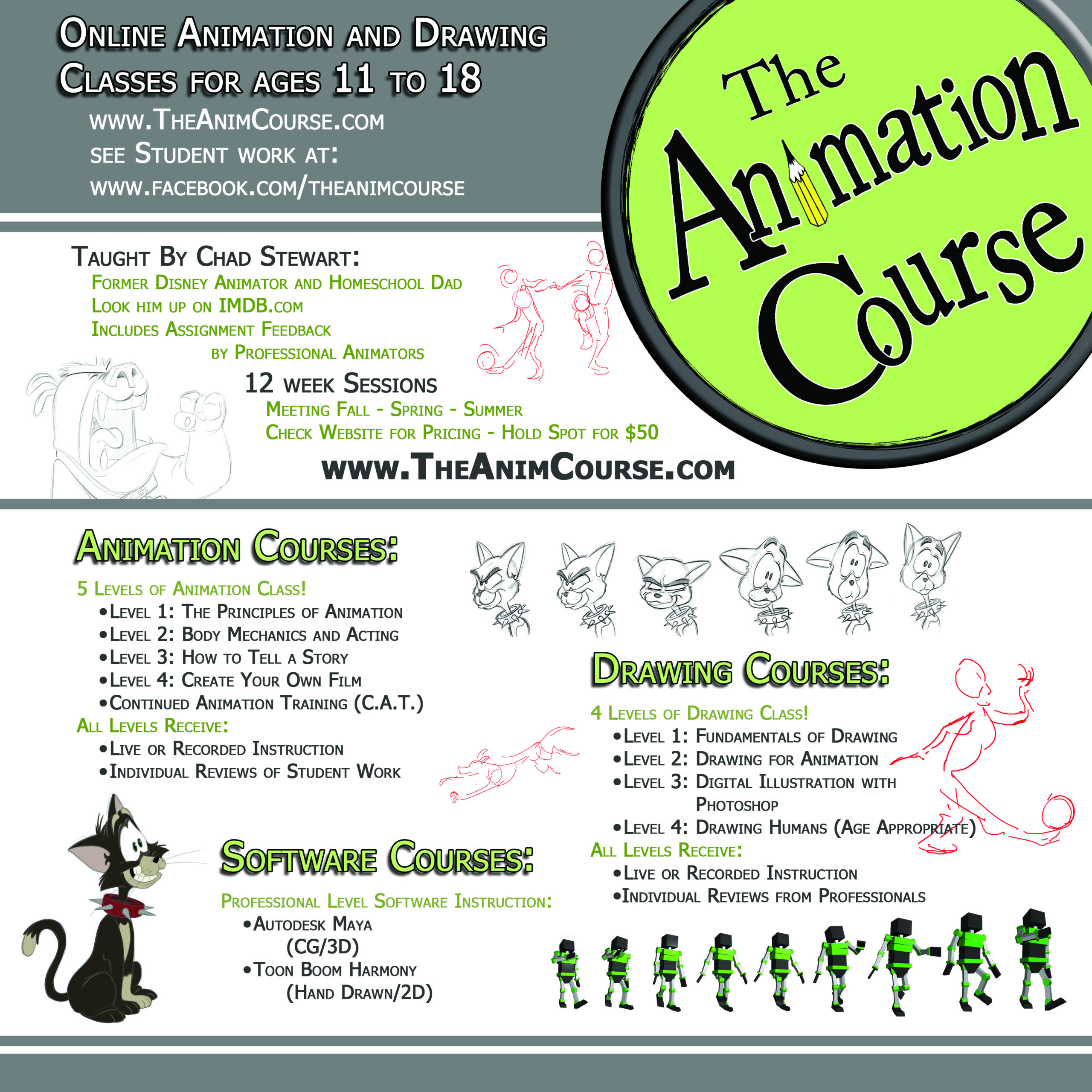 Online – LIVE Animation and Drawing Classes | NYS LEAH